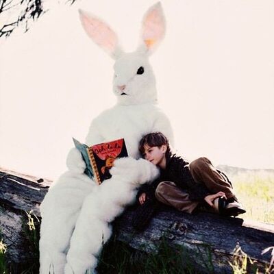 Rabbit Ribbon Robber: ฟิค Boy Love (แชท)