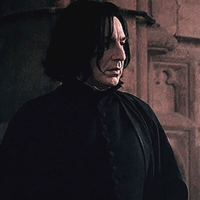 ยามสนธยายาวนานยิ่งกว่ารุ่งอรุณ (severus snape): ฟิค Love Novel (บรรยาย)