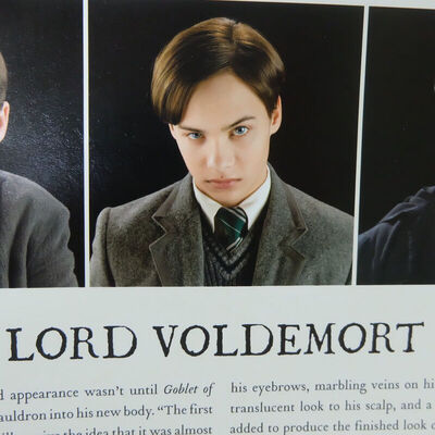 [ Fic Harry Potter ] Tom riddle x Reader ( os/sf ): ฟิค Love Novel (แชท)