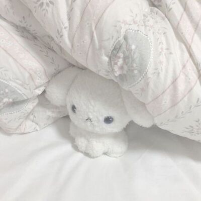 คุณหนู ~ ||• °•FRIENDSCRAFT SMP SS3•° ♡Jimmy x Howl♡ 🐰 ˖ ࣪ ‹ ᴍɪᴄᴋ 🧺 ...