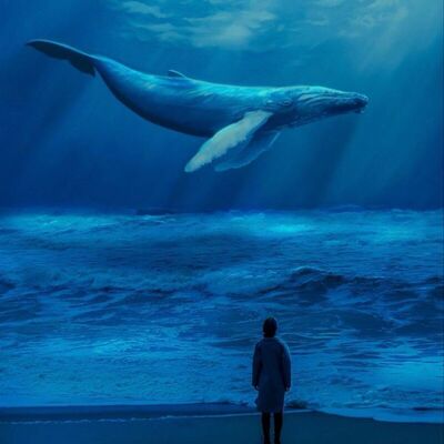 52 Hz | Beecris: ฟิคฟรีสไตล์ (แชท)