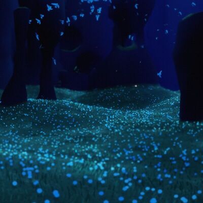 Hook [scp×sky oc]: ฟิคฟรีสไตล์ (แชท)