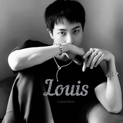 𝐋𝐨𝐮𝐢𝐬 | 𝐉𝐢𝐧 𝐱 𝐘𝐨𝐮 - จีบพี่มาเป็นแฟน : ฟิค Love Novel (แชท)