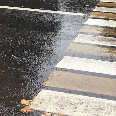 Friends poop: ฟิคฟรีสไตล์ (แชท)