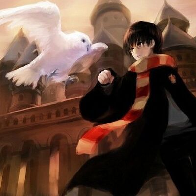 Black Butler and Harry potter - บทที่ 2 พ่อบ้านสีดำคนนั้น - พบกัน: ฟิค ...