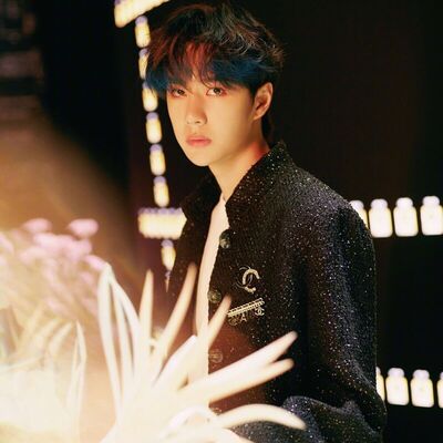 Red wine (Vin rouge) on your lips || ป๋อจ้าน: ฟิค Boy Love (แชท)