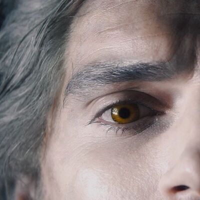 Now And Forever | Jaskier x Geralt [Geraskier]: ฟิค Boy Love (บรรยาย)