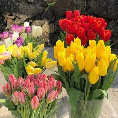 tulip boy | jayren: ฟิค Boy Love (แชท)