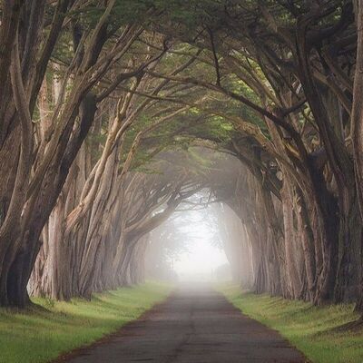 จดหมาย.....จากความเหงา: เรื่องนี้ที่อยากเล่า/ไดอารี