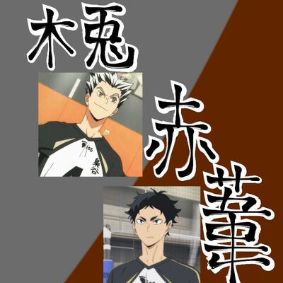 (Akaboku/Bokuaka) The Red Sugar Owl & The Gray Owl 🦉 ️🦉: ฟิค Boy Love (แชท)
