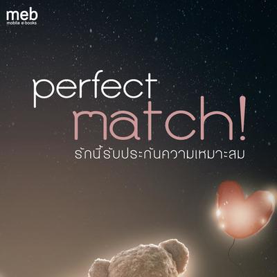 perfect match!รักนี้รับประกันความเหมาะสม: นิยายรักวัยรุ่น