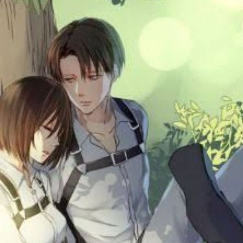 Levi X Mikasa Lemon