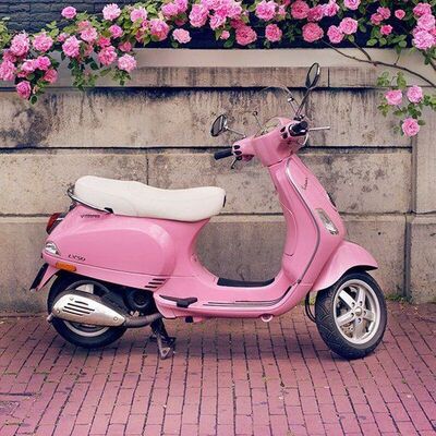 Pink Rider | namjin: ฟิค Boy Love (แชท)