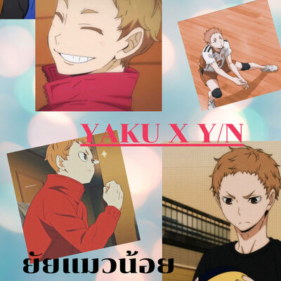 ยัยแมวน้อย {Yaku x Y/N} Haikyuu - 12:ทำไมนะ : ฟิค Love Novel (แชท)