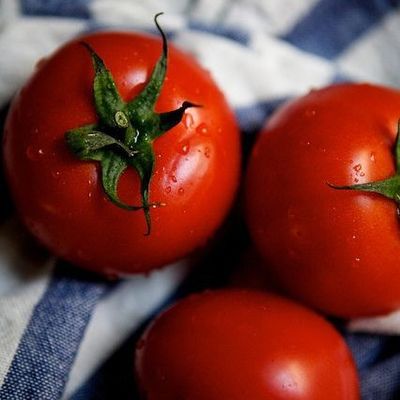 Tomato cheeks :Zach & Jonah: ฟิค Boy Love (บรรยาย)