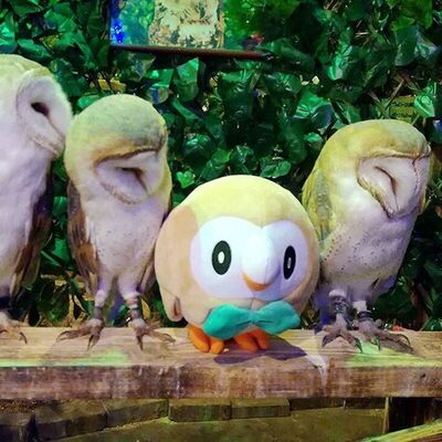 Hug me like your heart (JayVik/What if?): ฟิค Boy Love (แชท)