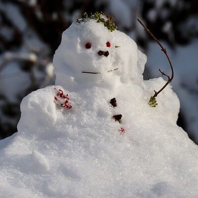 Mr.snowman: แนวทางเลือก
