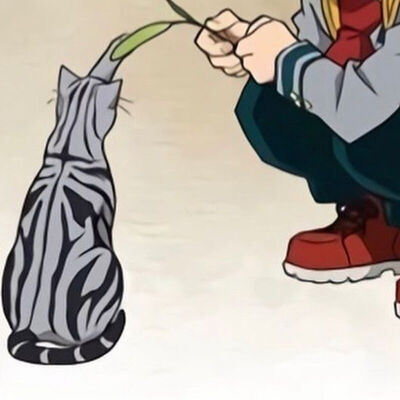 can you be my cat? | BKDK คัตเด: ฟิค Boy Love (แชท)