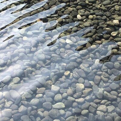 [MHA] rabbits are everything♡: ฟิคฟรีสไตล์ (แชท)