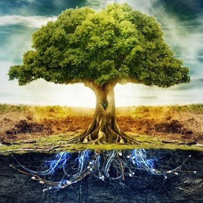 Life Creator ราชันครองโลก - 12 ต้นไม้แห่งชีวิต ‘อิกดราซิล’: แฟนตาซี เกม ...