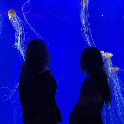 ความเหมือนที่เเตกต่าง | TOKYO REVENGERS X BONTEN X Y/N - Ⅴ : ฟิค Love ...