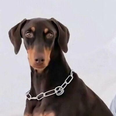 เกิดใหม่แต่ต้องเป็นเมียน้องชายบุฐธรรม taev: ฟิค Boy Love (แชท)