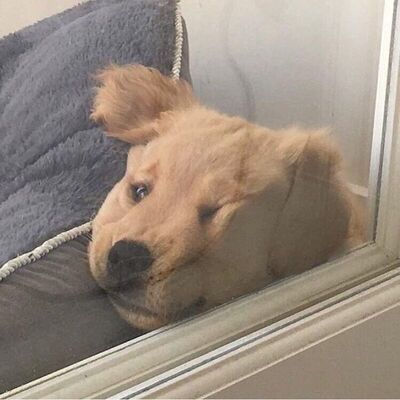 him | NaibEli: ฟิค Boy Love (แชท)