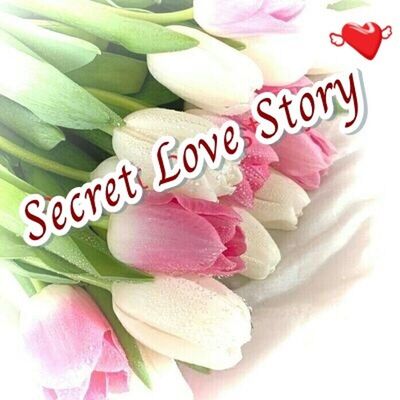 Secret love story: นิยายรัก