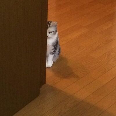 lulaw 5 ตอน: ฟิค Boy Love (แชท)