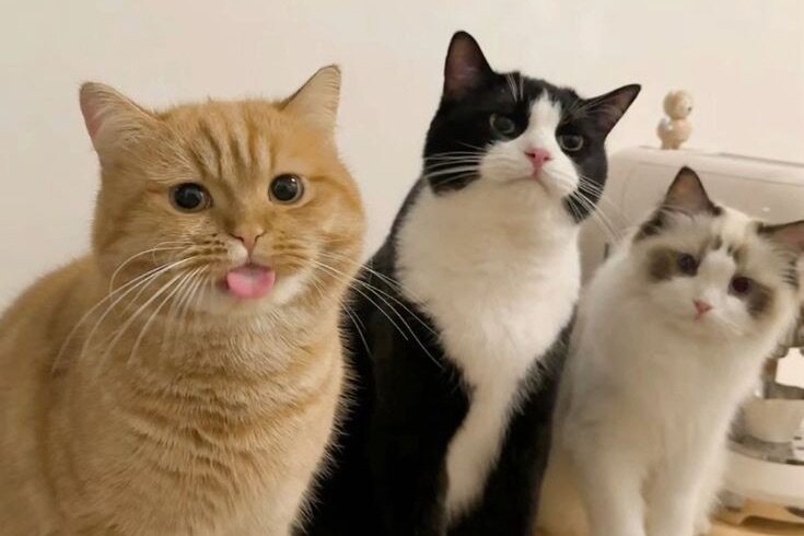 บ้านณี้มีแงว - List A Write