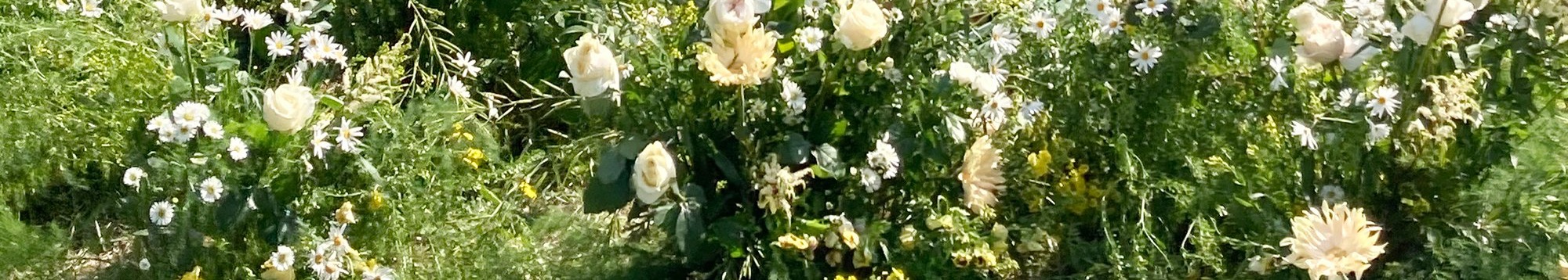 kjjjjj @readawrite.com