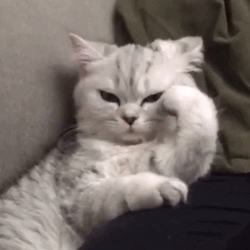 N.nnnnk @readawrite.com