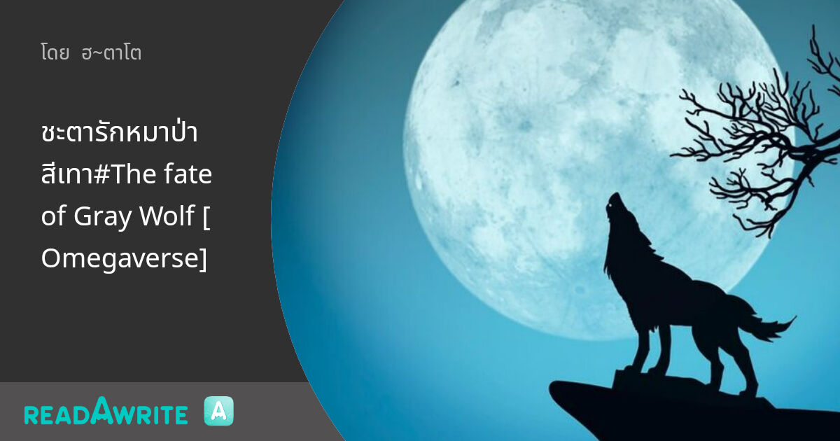 ชะตารักหมาป่าสีเทา#The fate of Gray Wolf [Omegaverse] - บทนำ : นิยาย ...