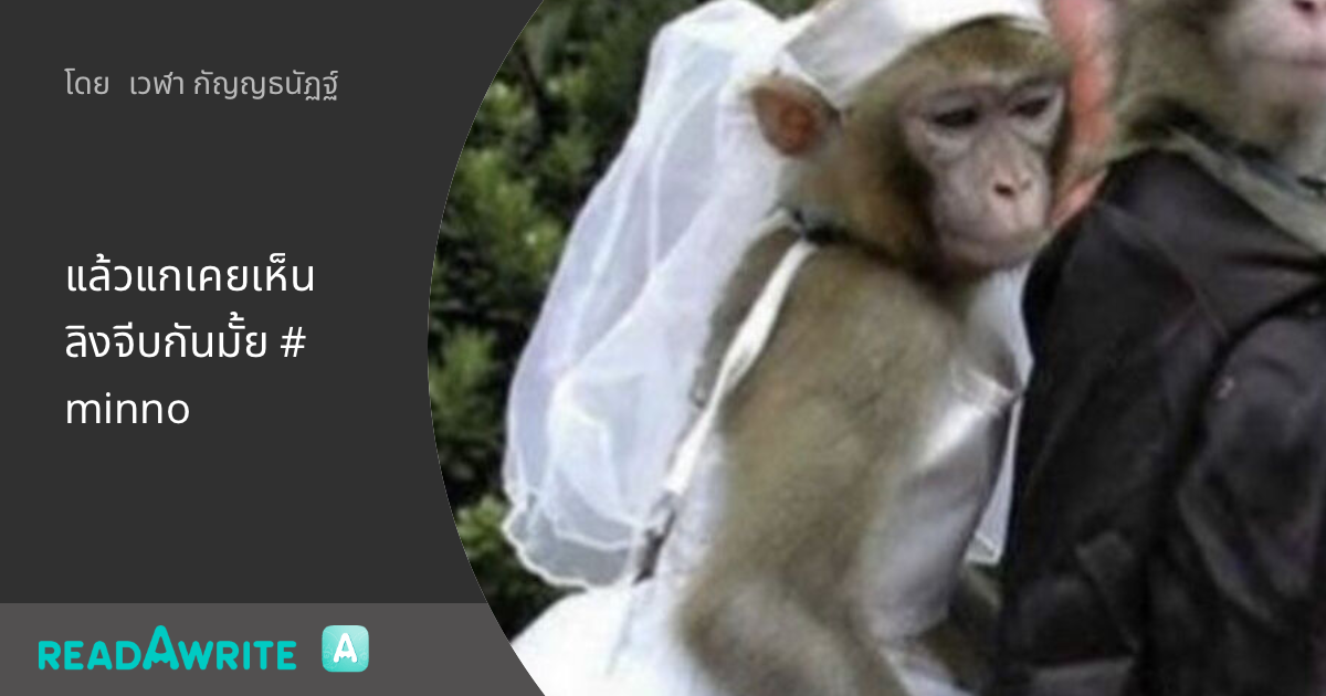 แล้วแกเคยเห็นลิงจีบกันมั้ย #minno: ฟิคฟรีสไตล์ (แชท)