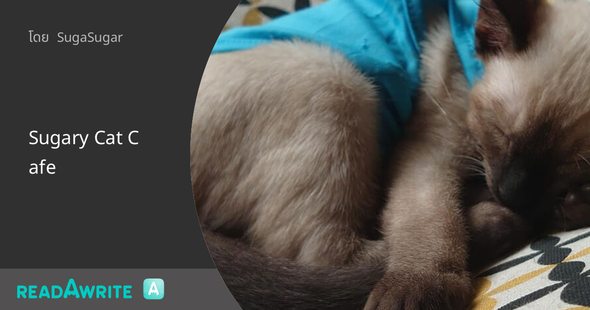 Sugary Cat Cafe - แงวตัวที่ 10 : ฟิค Boy Love (แชท)