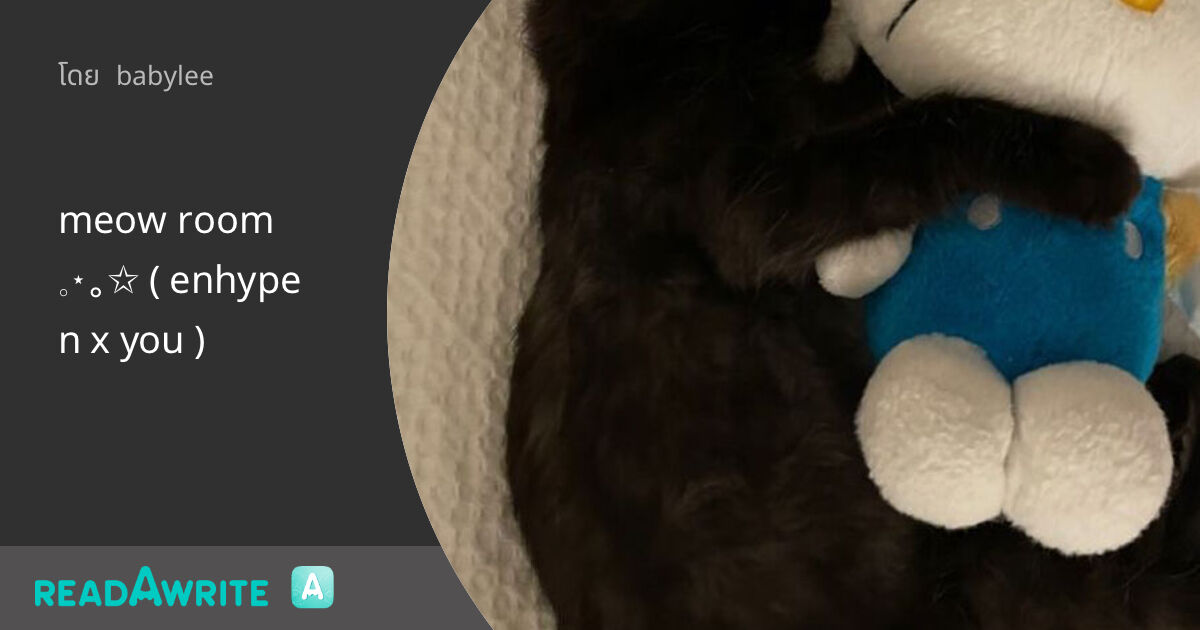 meow room 𓈒⋆｡ ( enhypen x you ) - meow room ⌗7 : ฟิค Love Novel (แชท)