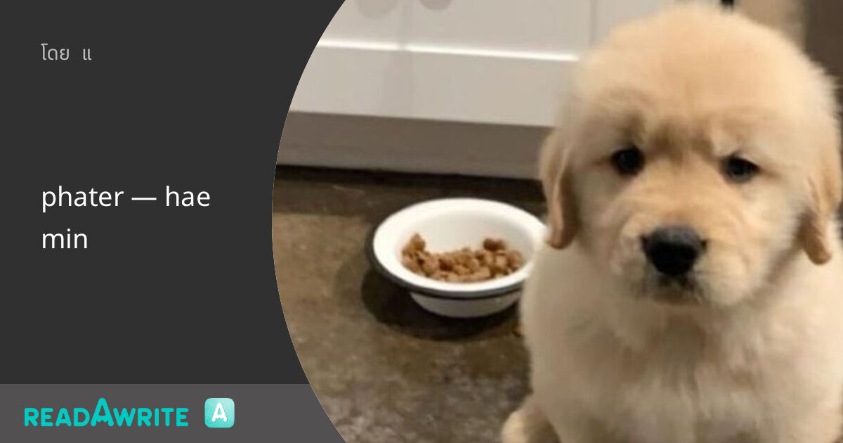 phater — haemin - 10นาทีนะครับ : ฟิค Boy Love (แชท)