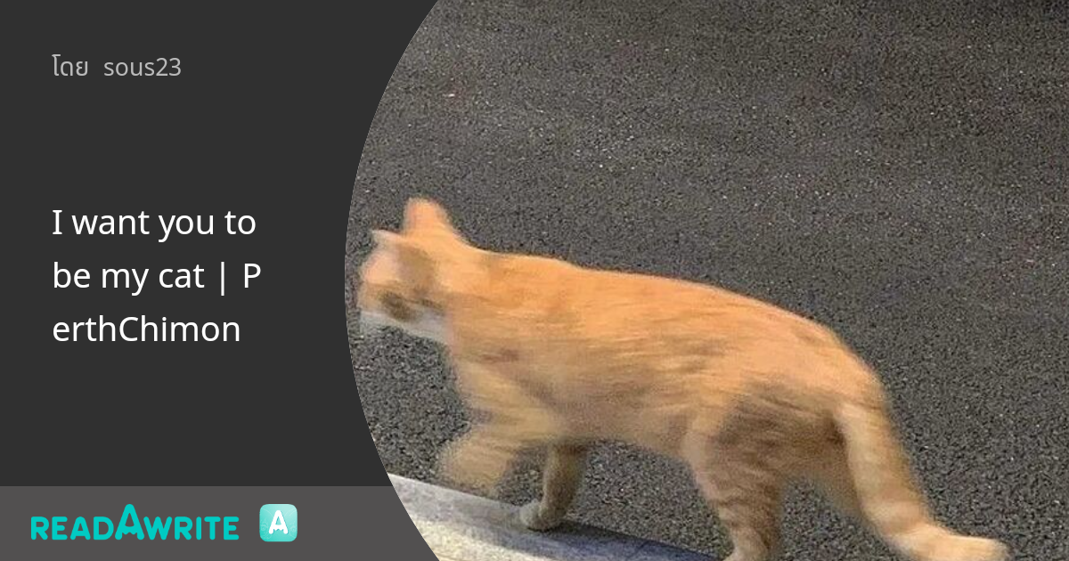 I want you to be my cat | PerthChimon: ฟิค Boy Love (แชท)