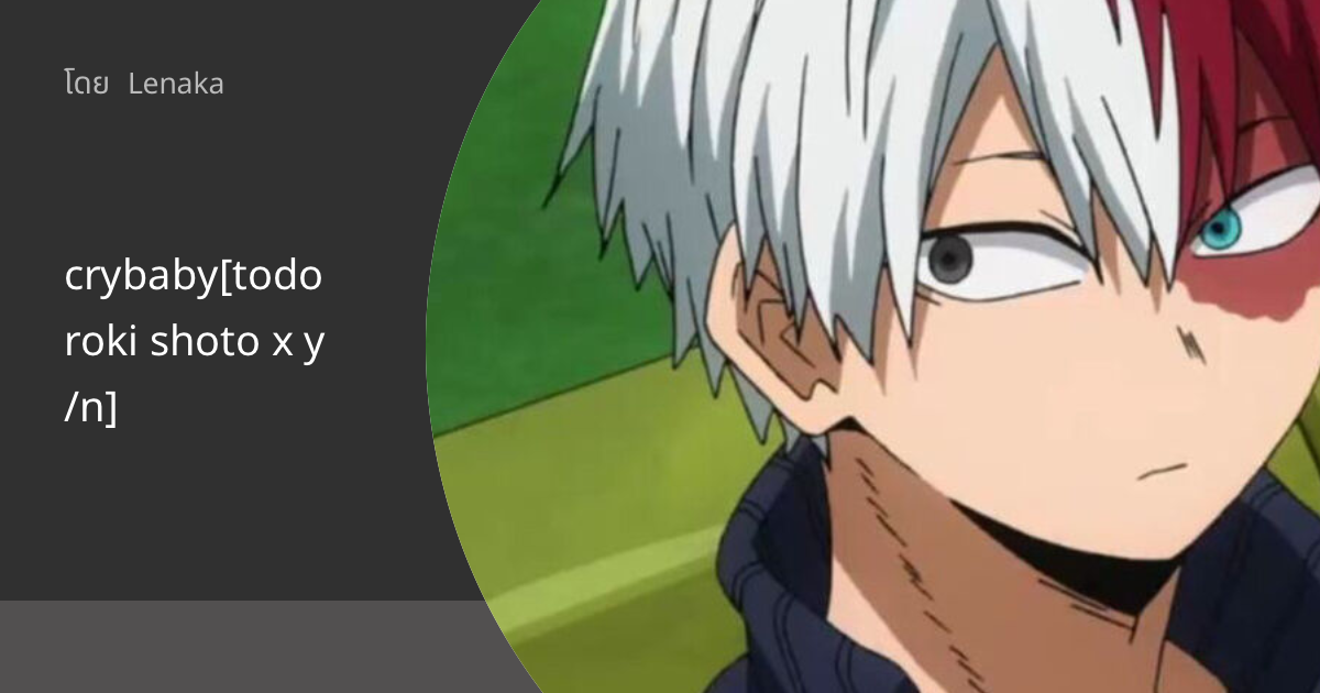 crybaby[todoroki shoto x y/n]: ฟิค Love Novel (แชท)