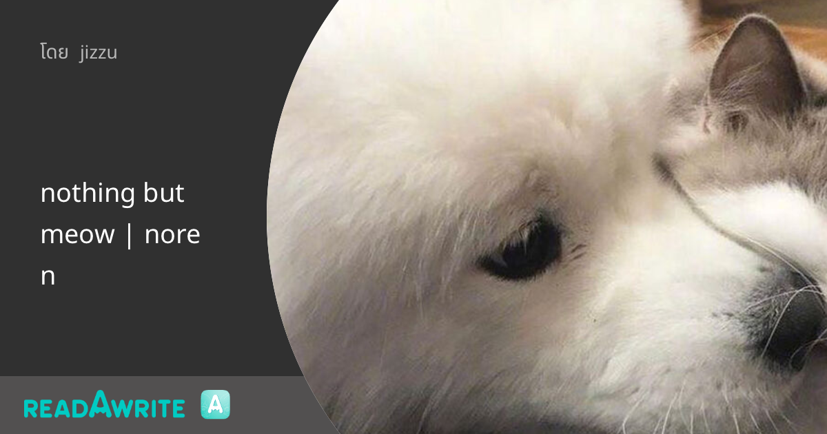 nothing but meow | noren: ฟิค Boy Love (แชท)