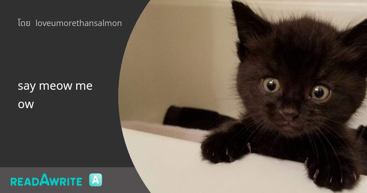 say meow meow - milk milk! : ชุมชนคนขี้ชิป