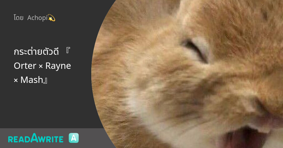 กระต่ายตัวดี 『Orter × Rayne × Mash』: ฟิค Boy Love (แชท)