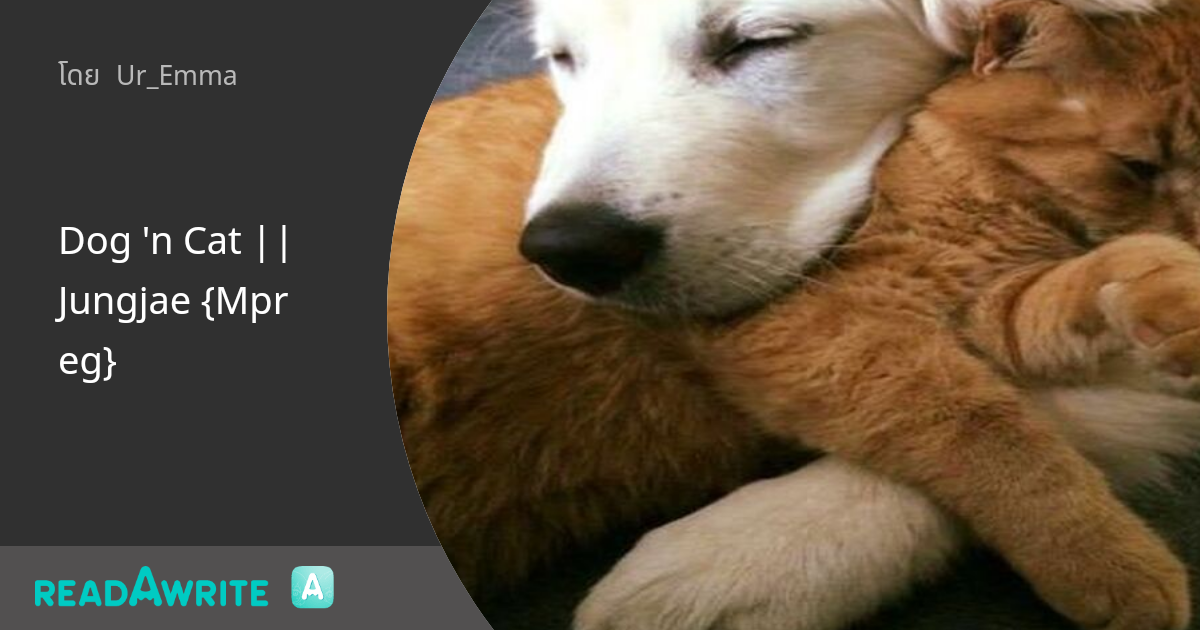 Dog 'n Cat || Jungjae {Mpreg}: ฟิค Boy Love (แชท)