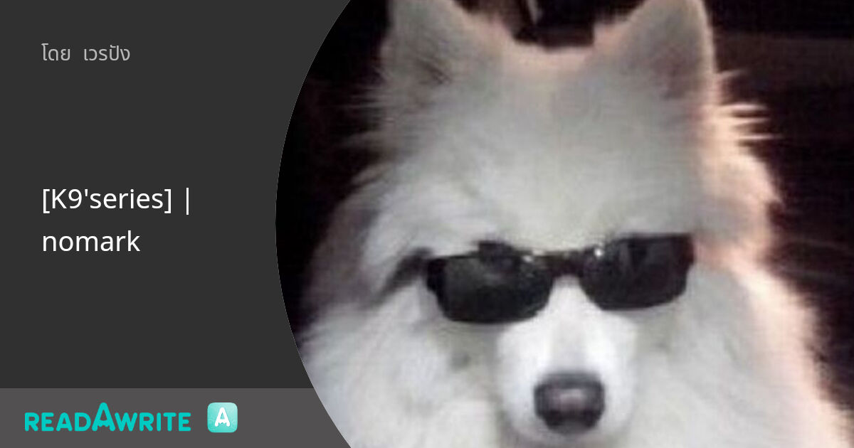 [K9'series] | nomark: ฟิค Boy Love (แชท)
