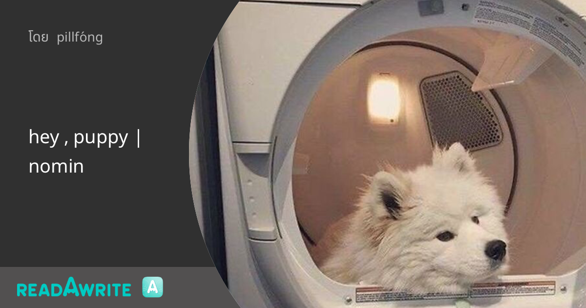 hey , puppy | nomin: ฟิคฟรีสไตล์ (แชท)