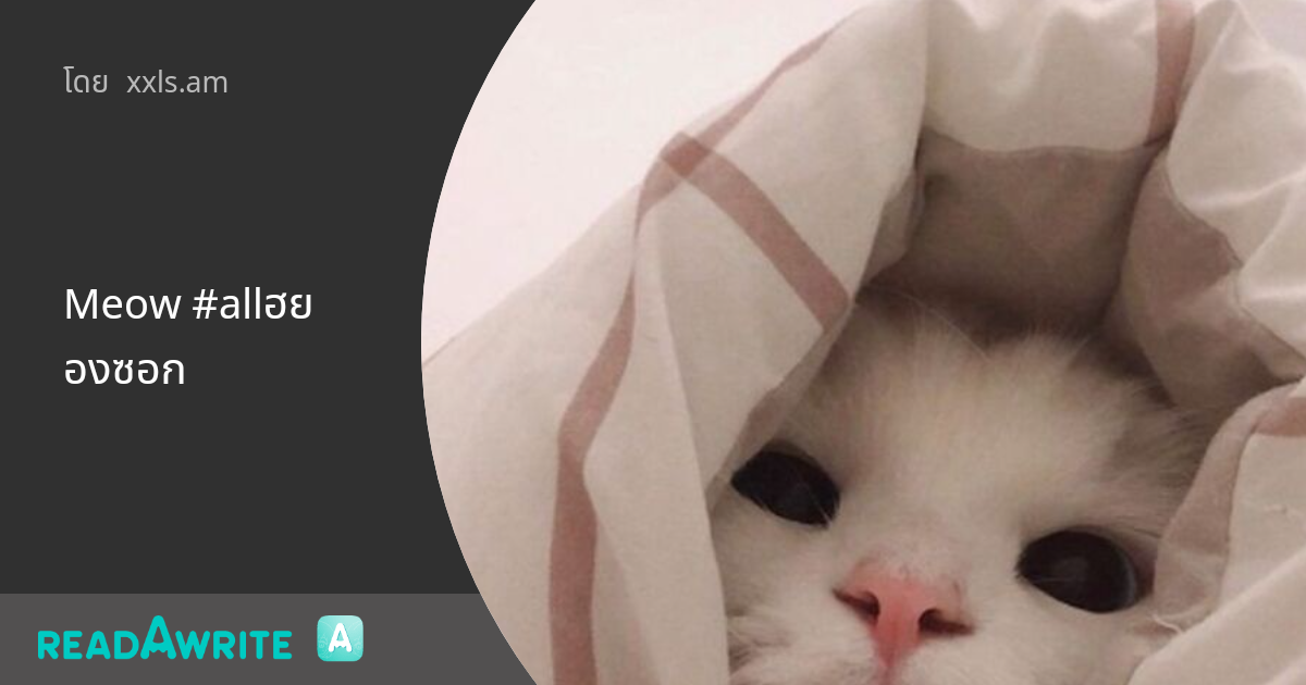 Meow #allฮยองซอก: ฟิค Boy Love (แชท)