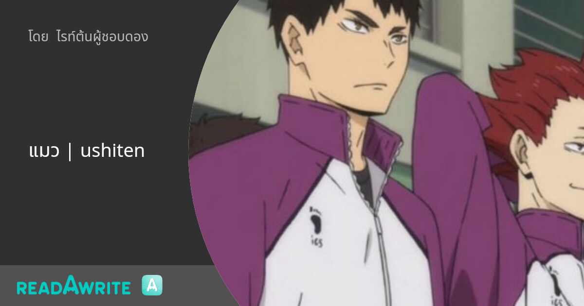 แมว | ushiten: ฟิค Boy Love (แชท)