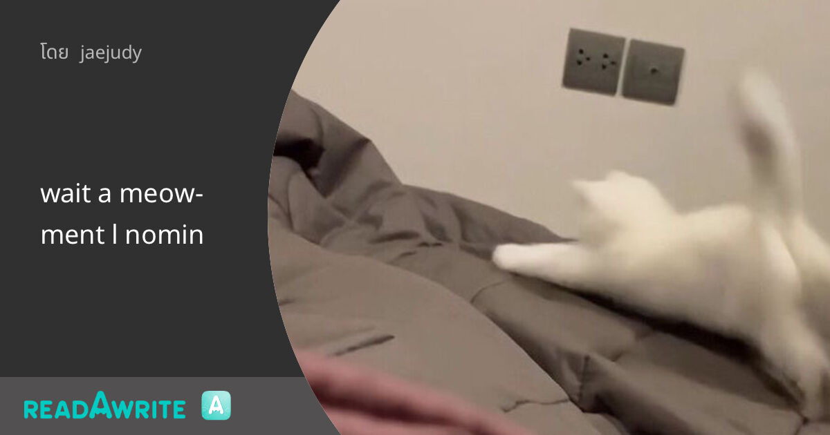 wait a meow-ment l nomin - meow : 6 : ฟิค Boy Love (แชท)