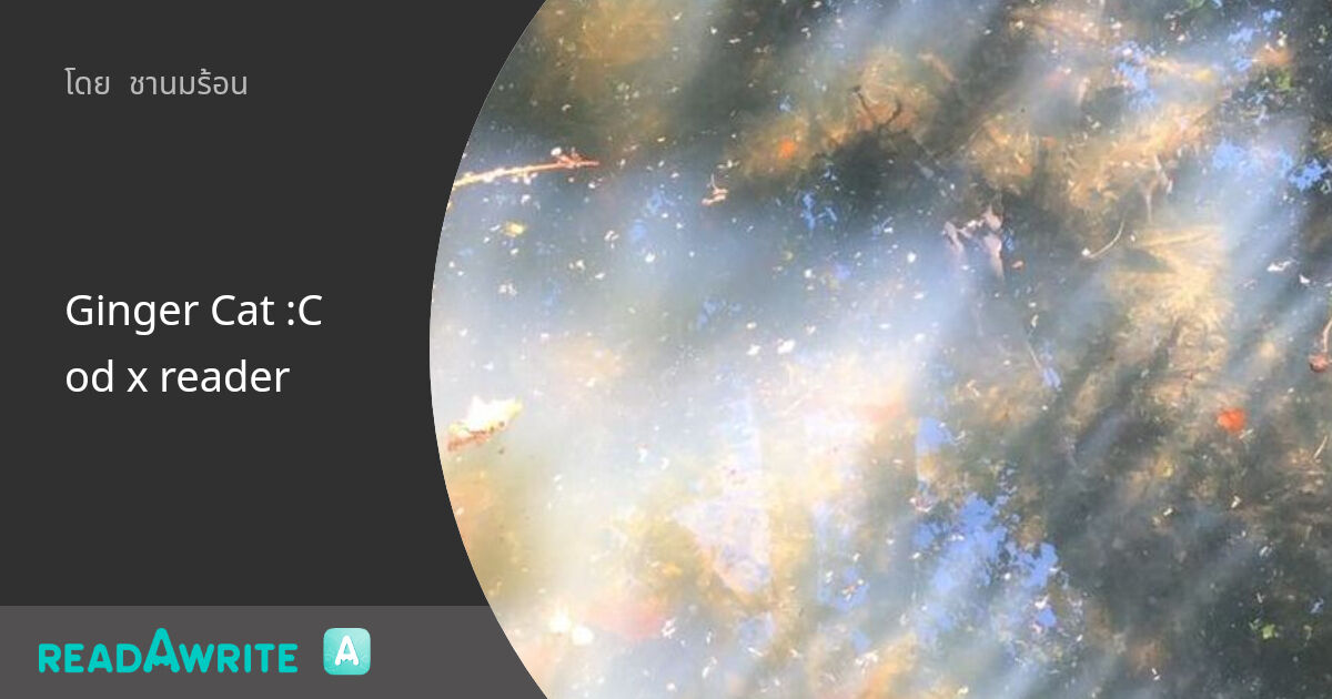 Ginger Cat :Cod x reader: ฟิคฟรีสไตล์ (แชท)