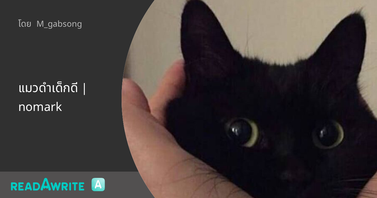 แมวดำเด็กดี | nomark: ฟิค Boy Love (แชท)